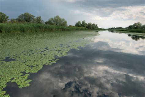 Crowdfunding Campaign To Enable Multiple Dam Removal In Ukrainian