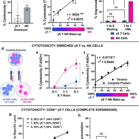 Nk Cell Content Predicts In Vitro Cytotoxic Potential Of γδ T Cell