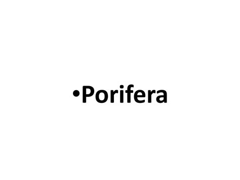 Ppt Taxonomy Diversity Of Life Animal Kingdom Powerpoint Presentation
