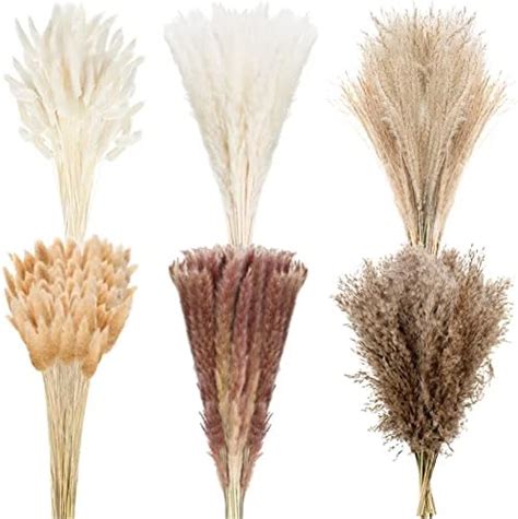 Treela 325 Pcs Dried Pampas Grass Decor 17 Inch Dried Boho