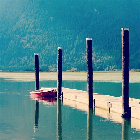 Pitt Wildlife Loop Photo 2013 Hiking Photo Contest Vancouver Trails