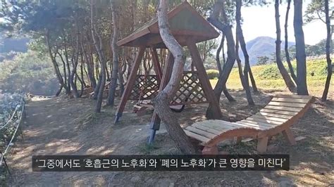 정읍 구절초 테마공원을 산책하며 깊어가는 가을날 꽃향기와 벌나비와 함께 즐거운 시간을 갖다 Youtube