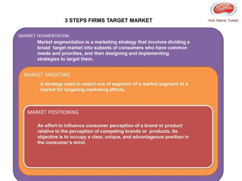 Identifying Market Segments And Selecting Target Market Ppt