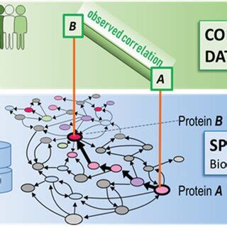 Scalable PrecisiOn Medicine Knowledge Engine SPOKE Enabled