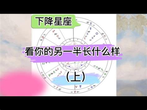 星盘分析 下降星座看你的另一半长什么样上星盘解析 小燃占星 YouTube
