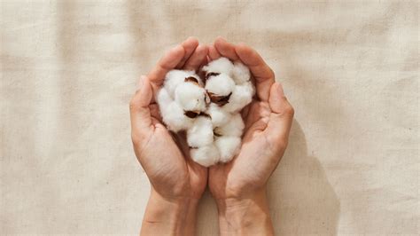 What Is Organic Cotton Benefits Certifications And Why It Matters F