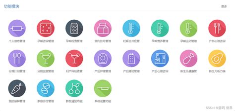 Java妇产科专科电子病历系统源码，前端框架：vue，elementui