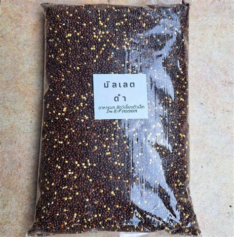 มิลเลตดำ 1 Kg มิลเล็ตดำ มิลเล็ต อาหารเสริมนก อาหารนก เกรด A สะอาด ไร้ฝุ่น Bks Store Thaipick