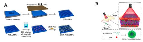 Responsive Microneedles As A New Platform For Precision Immunotherapy Pmc