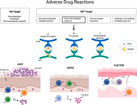 Drug Hypersensitivity Syndrome