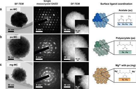 Disorderorder Transition In The Crystallographic Alignment In Download Scientific Diagram
