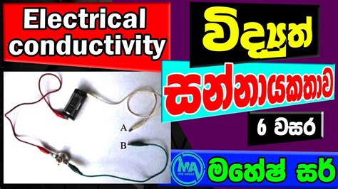 6 වසර විද්‍යාව 02 පාඩම අප අවට ඇති දේ Grade 06 Science Lessons In Sinhala Unit 02 Youtube