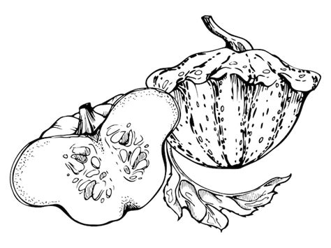 Premium Vector Hand Drawn Ink Vector Pattypan Gourd Squash And Leaf