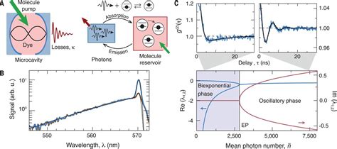 Observation Of A Non Hermitian Phase Transition In An Optical Quantum Gas Science
