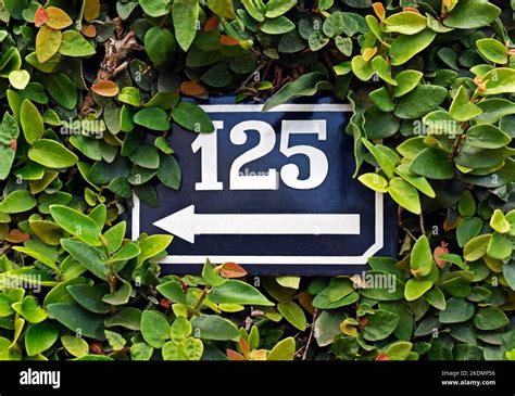 Street Sign Number On A Wall With Plants Stock Photo Alamy