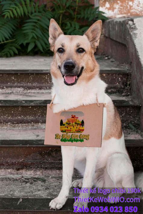 Vẽ Chibi Chú Chó đang Ngồi Trên Xe đẩy Trong Khu Vườn để Thiết Kế Logo