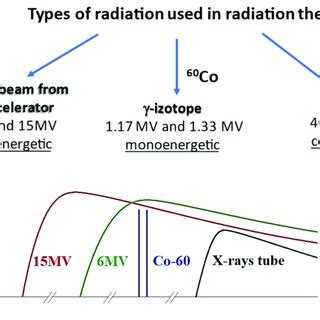 Different Types Of Radiation Used In This Work Top The Schematic Download Scientific Diagram