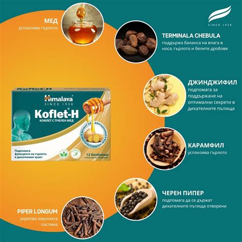 Искате да се радвате на Himalaya Cosmetics Bulgaria Facebook