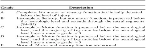Single Stage Transpedicular Vertebrectomy And Expandable Cag