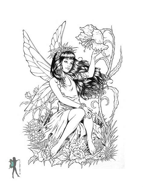 Amy Brown Fairy Coloring Book Myth Mythical Mystical Legend Elf Sketch