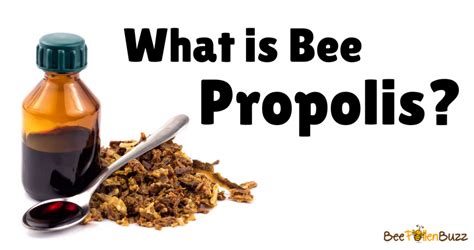 What Is Bee Propolis
