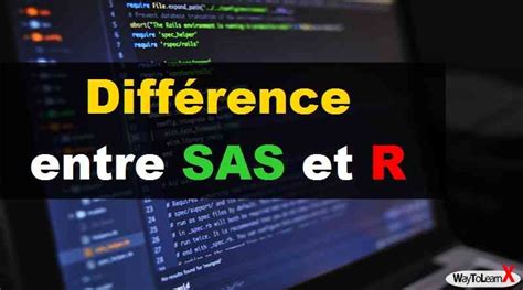 Différence Entre Sas Et R Waytolearnx