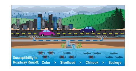 Urban Runoff Diagram