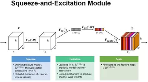 Computer Vision And Convolutional Neural Networks Ailephant