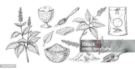 チアシードスケッチ花を持つ手描きの植物袋と山のベジタリアンスーパーフードのコンセプトデザートやクッキーのための料理の植物の成分ベクター有機粒