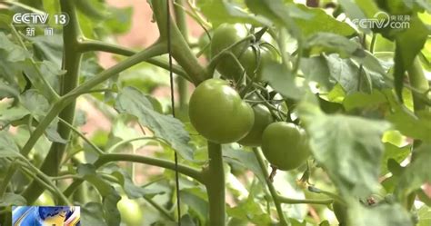 各地多措并举保障群众“温暖过冬” 积极应对寒潮保通保畅保民生 要闻 舜网新闻