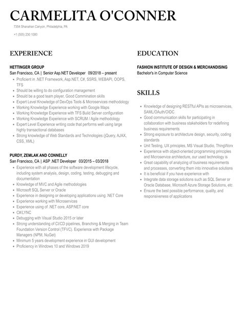 Aspnet Developer Resume Samples Velvet Jobs