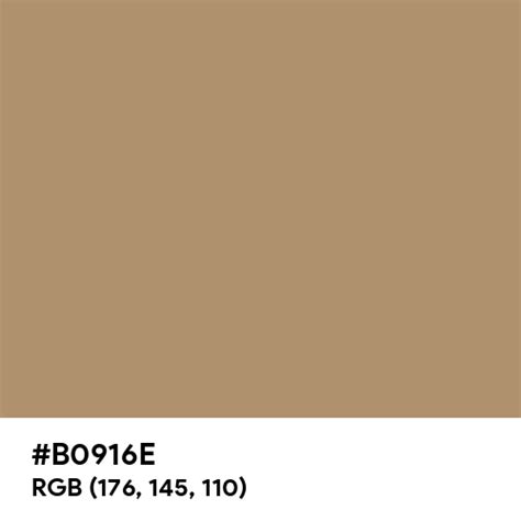 Cardboard Color Hex Code Is B0916e