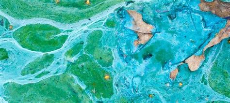 Diffuse Coastal Pollution Challenge Admiralty