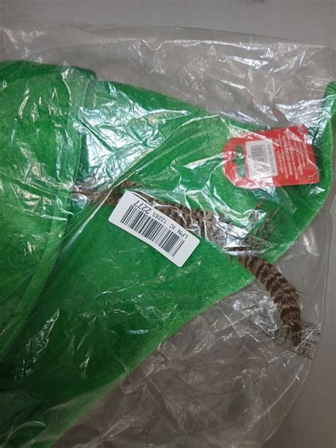 Adults Green Robin Hood Hat Archer Bycocket Feather Peter Pan Fancy