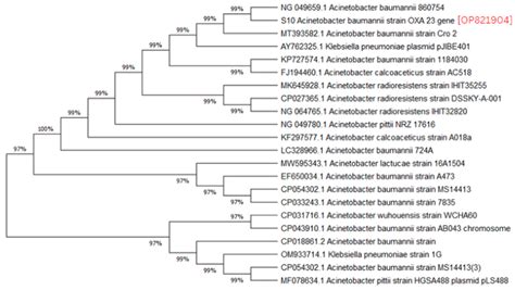 Medicina Free Full Text Genomic Insights Into And In Vitro