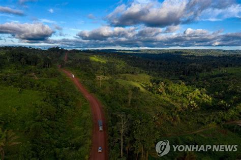 아마존 열대우림 파괴 심각지난해 한국 수도권 면적 이상 유실 연합뉴스