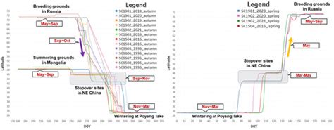 Remote Sensing Special Issue Application Of Remote Sensing In Migratory Birds Conservation