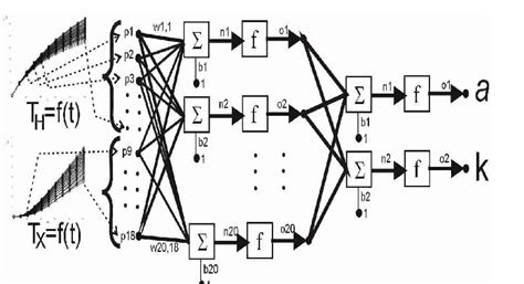 hypothetical architecture of the neural network with input and output