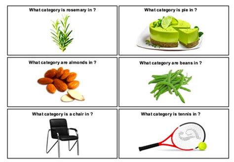Sorting Objects Into Categories Aba Ablls R B19 C39 G17 G25 G27 Sort