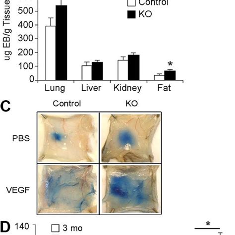 Hif 2 Deletion Affects Hif Target Gene Expression In Lung Endothelial