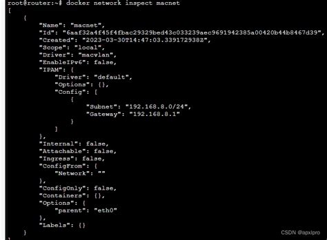 新手小白安装aio小主机布置家庭网络 5 LXC容器下docker安装openwrt作为旁路由 lxc安装openwrt CSDN博客