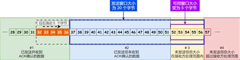 42 Tcp 重传、滑动窗口、流量控制、拥塞控制 小林coding