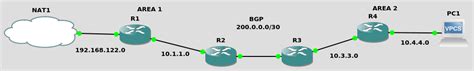 Ospf And Bgp With Cisco Ios