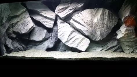 120 Gallon African Cichlid Show Tank Tour With Aqua Decor 3d Background
