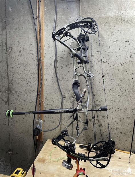 85lb Hoyt Hyperforce Bow