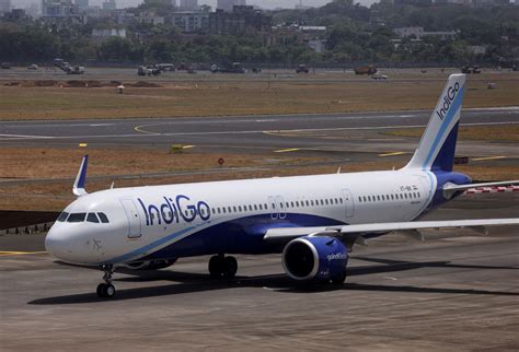 50 Facts About Indigo Dye