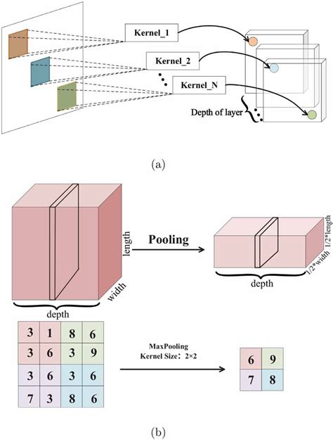 Illustration Of The Convolution Operation And Pooling Operation In Cnn Download Scientific
