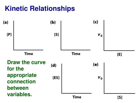 Ppt Biochemical Reaction Rate Enzyme Kinetics Powerpoint Presentation Id 6135538