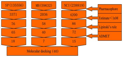 Database Screening The Flowchart Of Procedure Used In 3d Qsar Download Scientific Diagram