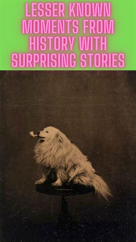 Lesser Known Moments From History With Surprising Stories In This